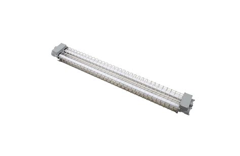 Explosion Proof Security Flashlight News Golden Future