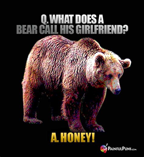 Honey Bear Memes