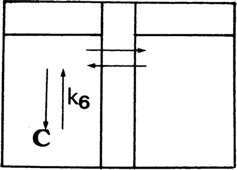 Diagrammatic Representation Of The Kinetic Model For Determining