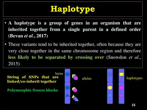 Ppt Haplotype Led Approaches For Increasing Precision In Plant Breeding Powerpoint
