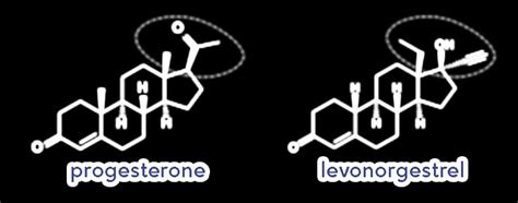 Progesterone Vs Progestins — Learn Body Literacy