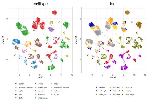 Dataset Pancreas