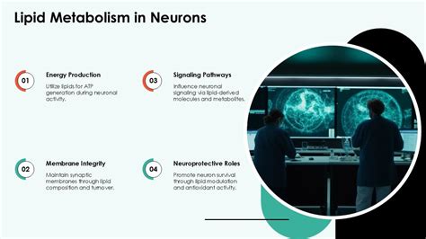Neuron Metabolism Ppt Structure Acp Ppt Sample