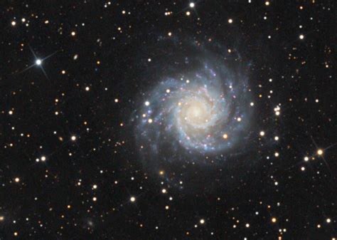 M 74
