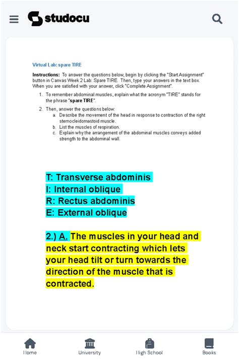 Week 2 Assignment Musculoskeletal System Overview Hlt 101 Studocu