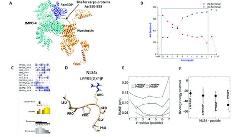 In Silico Identification Of Importin 4 Nls Motif A Docking Of Download Scientific Diagram