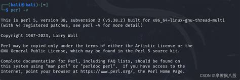 在linux Kali下载、安装perl环境linux下载perl Csdn博客 在linux Kali下载、安装perl环境linux下载perl Csdn博客