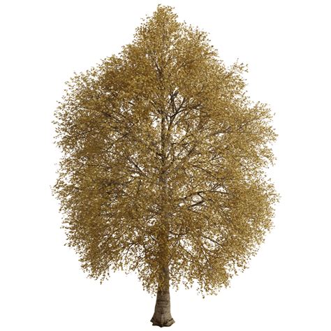 Trees 3d Model A23d