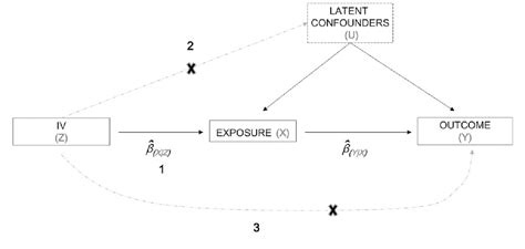 Figure 1 From Using Mendelian Randomization To Investigate A Possible