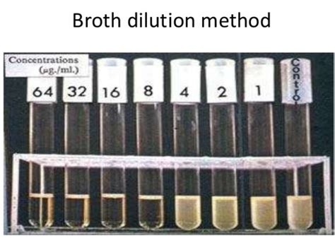 Solved What Is The Mic Based On The Dilution Test