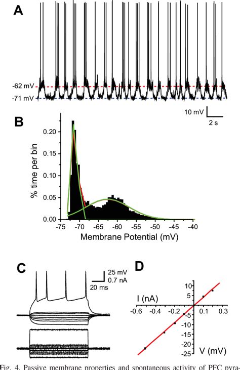 Figure 3 From Amygdala Inputs Drive Feedforward Inhibition In The Medial Prefrontal Cortex