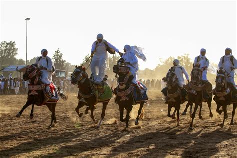 Culture Of Libya The Mena Chronicle Fanack