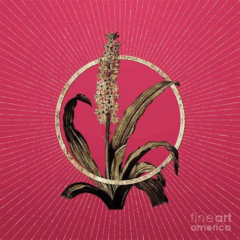 Gold Eucomis Punctata Glitter Botanical Art On Viva Magenta N0231