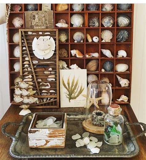 Pin By Virginia Johnson On Vignettes Oddities Decor Shell Decor