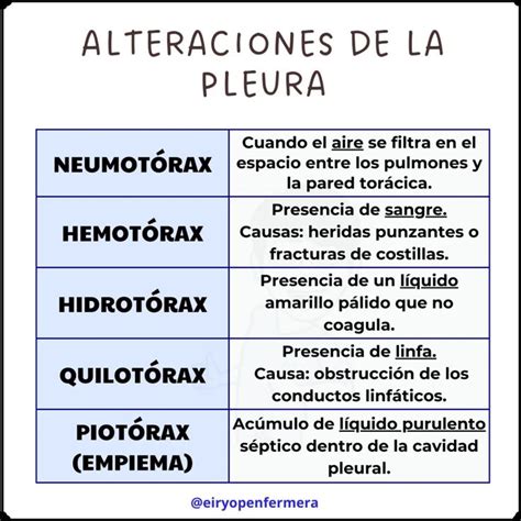 Eiryopenfermera On Instagram Tipos De Leucocitos 🩸 Neutrófilos Eosinófilos Basófilos