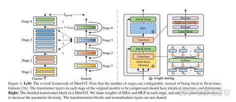 [vit轻量化论文3]minivit Compressing Vision Transformers With Weight Multiplexing 知乎
