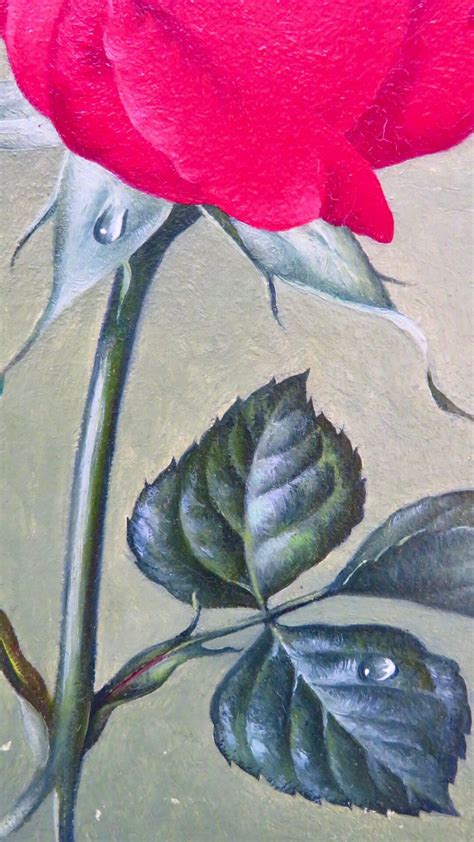 James Noble Jubilee Galleries