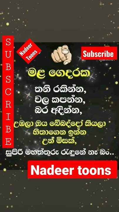 ඔය බේබද්දෝ කියන අය නැතිනම් මළ ගෙවල් පාලුයි අන්න ඒකයි ඇත්ත Srilanka Sinhala New Cartoon