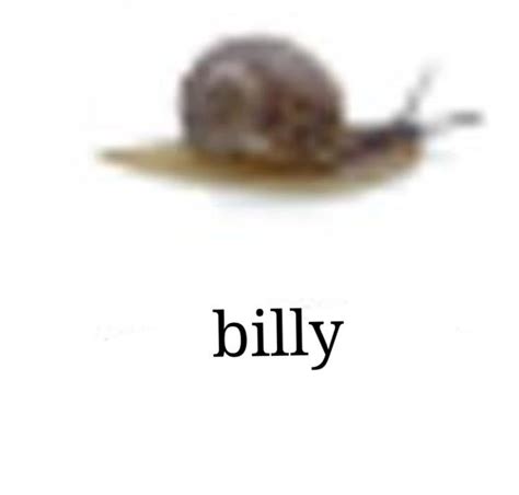 Pin By Kristin Nicole On Bugs With Names In 2025 Silly Names Hi Welcome To Chilis Really