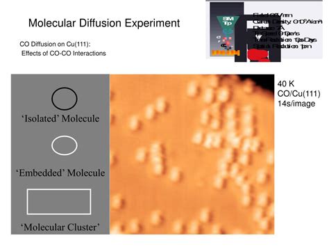 Ppt Directed Assembly Of Block Copolymer Blends Into Nonregular