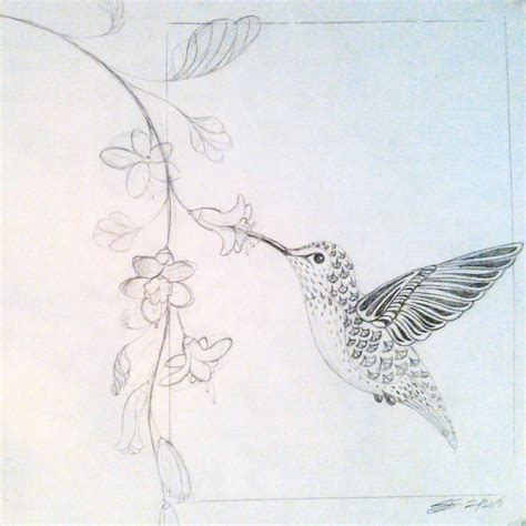 Drawings Of Hummingbirds And Flowers At Explore