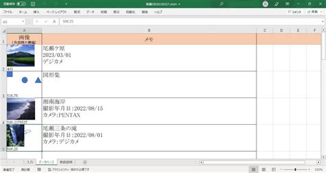 Yahoo オークション 画像データベースソフトウェア Excel Vba