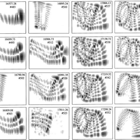 Ab Initio Wave Functions Of The Vibrational Levels Belonging To Polyad