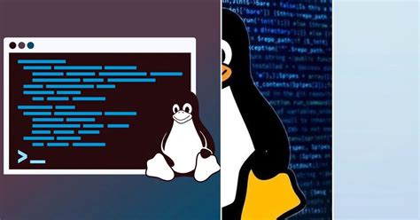 list bash curated by dallin craven medium