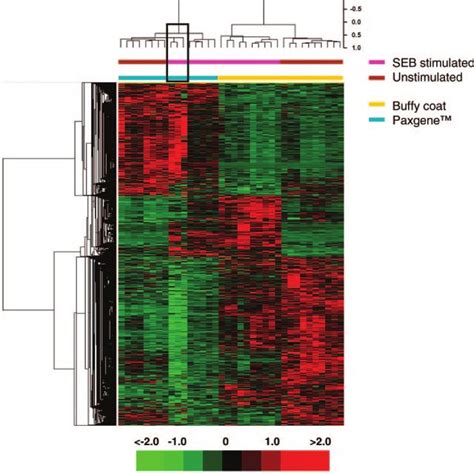 clustering of 2 746 probe sets significant at p 0 001 that