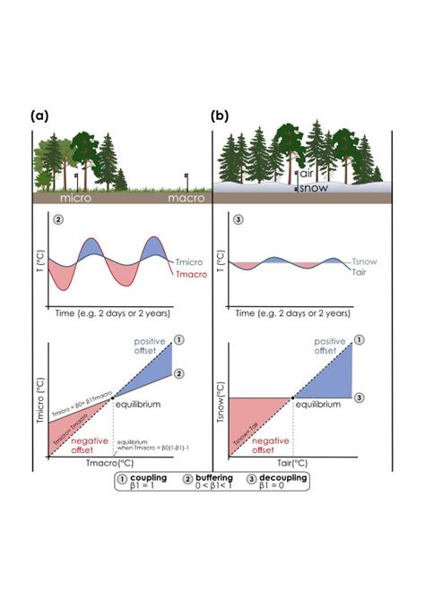 New Forest Microclimate Review Out