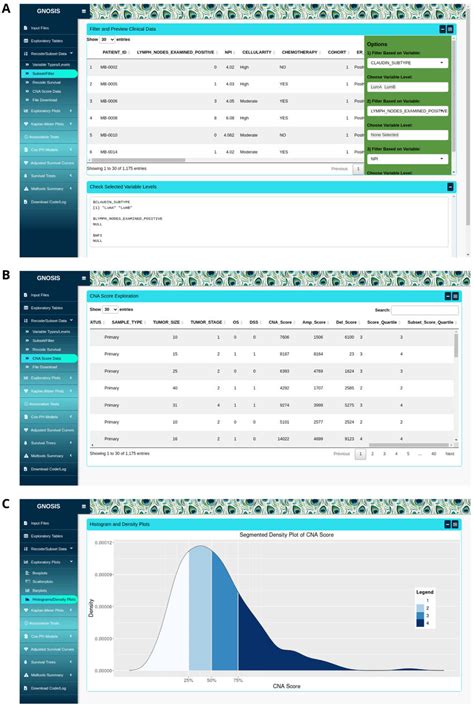 A The Recodesubset Tab Where Data Is Being Subsetted Based On Download Scientific Diagram
