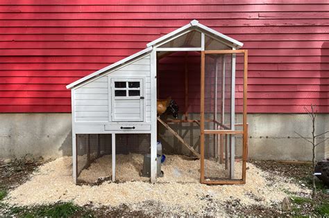 The Best Chicken Coop And Accessories 2021 Reviews By Wirecutter