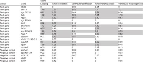 Quantitative Scoring System Differentiates High Ranking Genes From Low Download Table