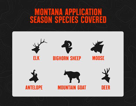 2026 Montana Hunting Application Details Onx Hunt