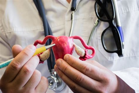 Kenali Pelvic Inflammatory Disease Pid Secara Mendalam Morula Ivf