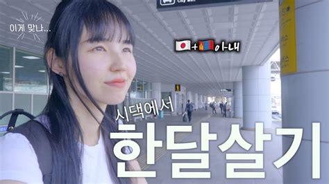 결혼식 하러 또 한국에 이번엔 시댁에서 한달 살기 도전 하는 일본 며느리 Youtube