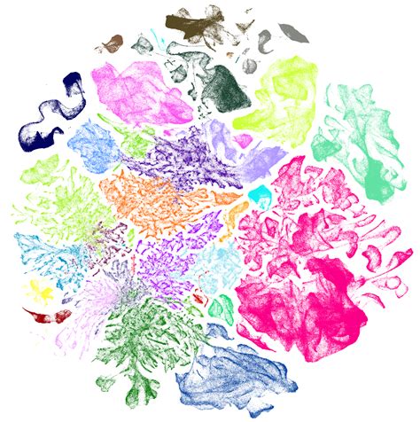 Cell Type References Brain
