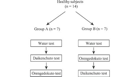 Flow Chart Of Randomization And The Testing Order All Subjects Were Download Scientific