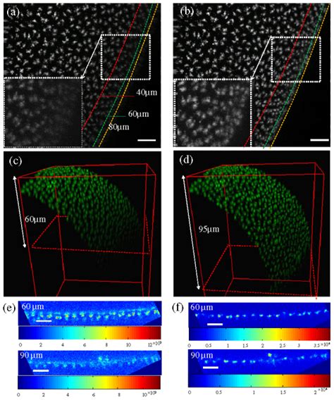 Comparison Of The Three Dimensional Imaging Without And With Correction Download Scientific
