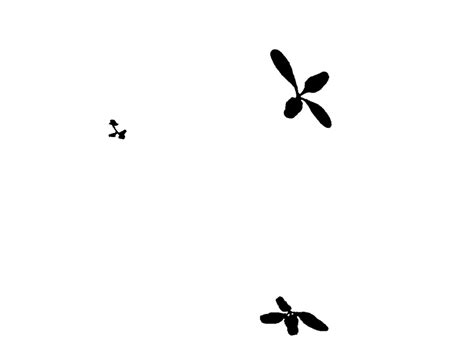Sample Mask Images From All Three Datasets Used To Evaluate The Method Download Scientific