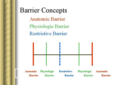 Integrating Osteopathic Manipulative Treatment Into Clinical Care Helen