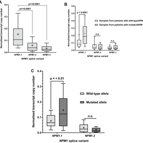 Analysis Of Npm1 Transcript Copy Numbers For The Three Main Splice Download Scientific Diagram