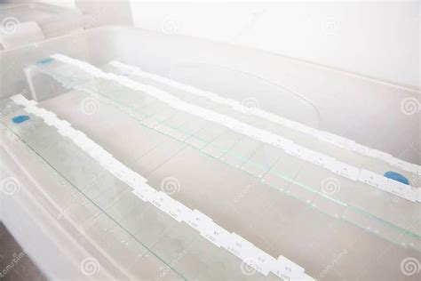 Scientist Preparing Slides With Paraffin Embedded Tissue Samples For Immunohistochemistry Assay