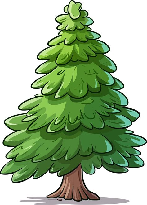 Spruce Tree Drawing