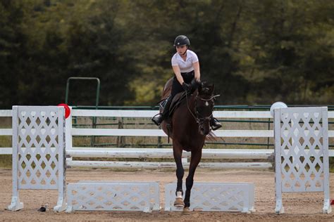 Img 3160 Anne Borgmeyer Flickr