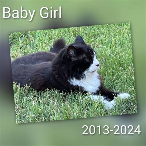 Gabapentin Compounded Oral Liquid Chicken Flavored 100 Mg Ml 1 Ml