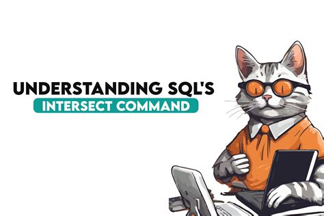 understanding sql s intersect command stratascratch