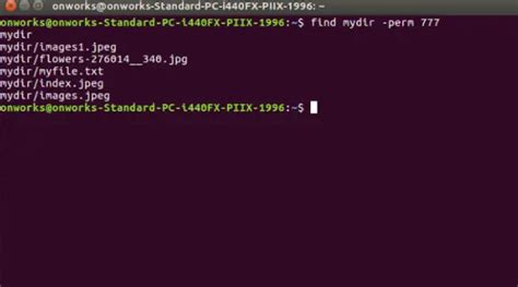 How To Recursively Find Files In Bash Delft Stack