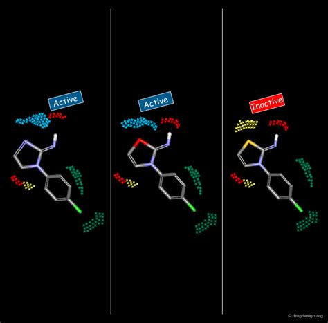 3d Qsar Drug Design Org