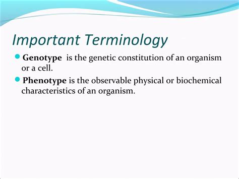 Genetics Ppt Programming Languages Computing